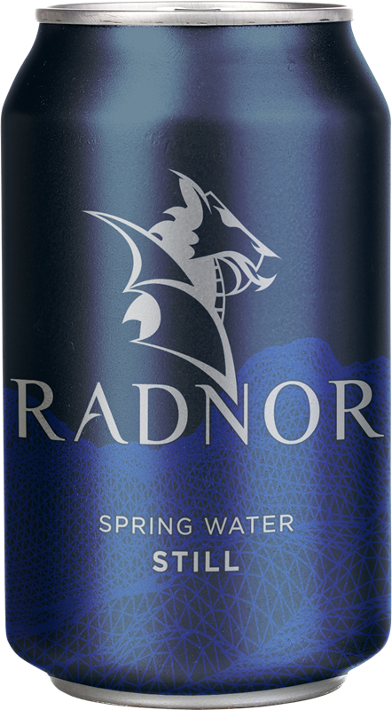 Radnor Hills Still Spring Water Cans 330ml